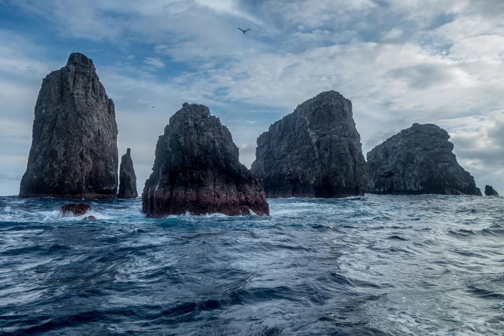 Malpelo, un santuario natural en alta mar - Mi Viaje