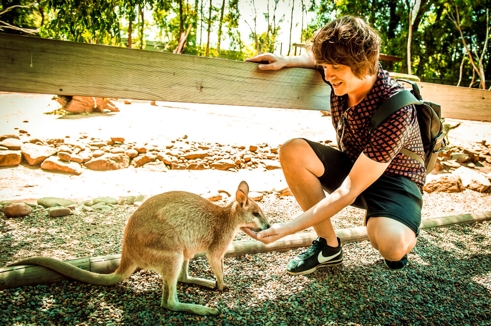 Alimentar animales salvajes en tus viajes: ¿por qué no hacerlo? - Mi Viaje